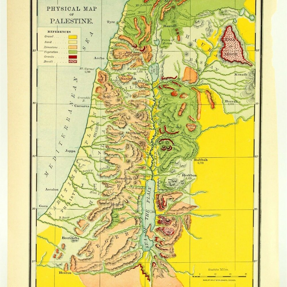 Physical Map of Palestine Holy Land, Colorful Vintage Biblical, Rand ...