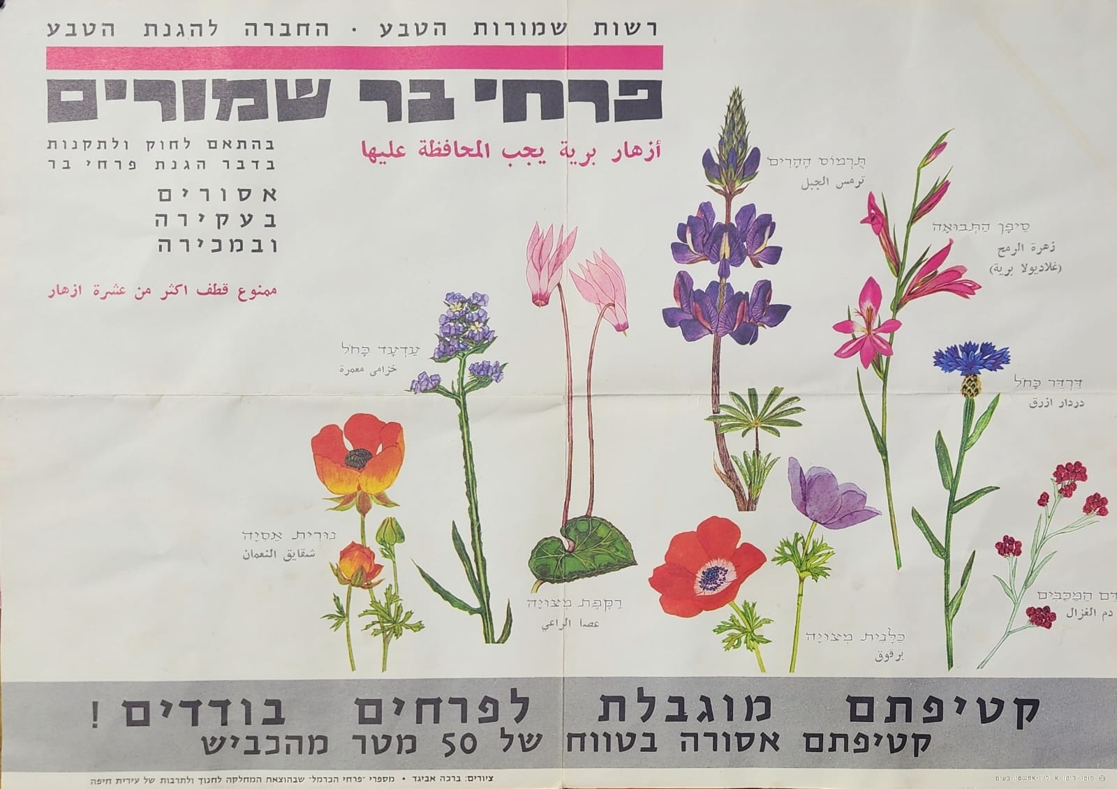 Home - VINTAGE ISRAELI POSTERS